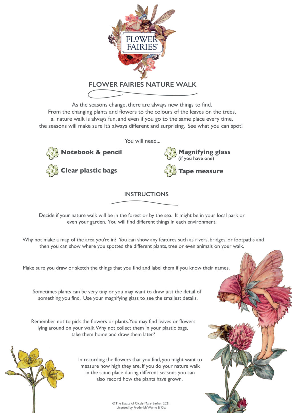 Activities - Flower Fairies