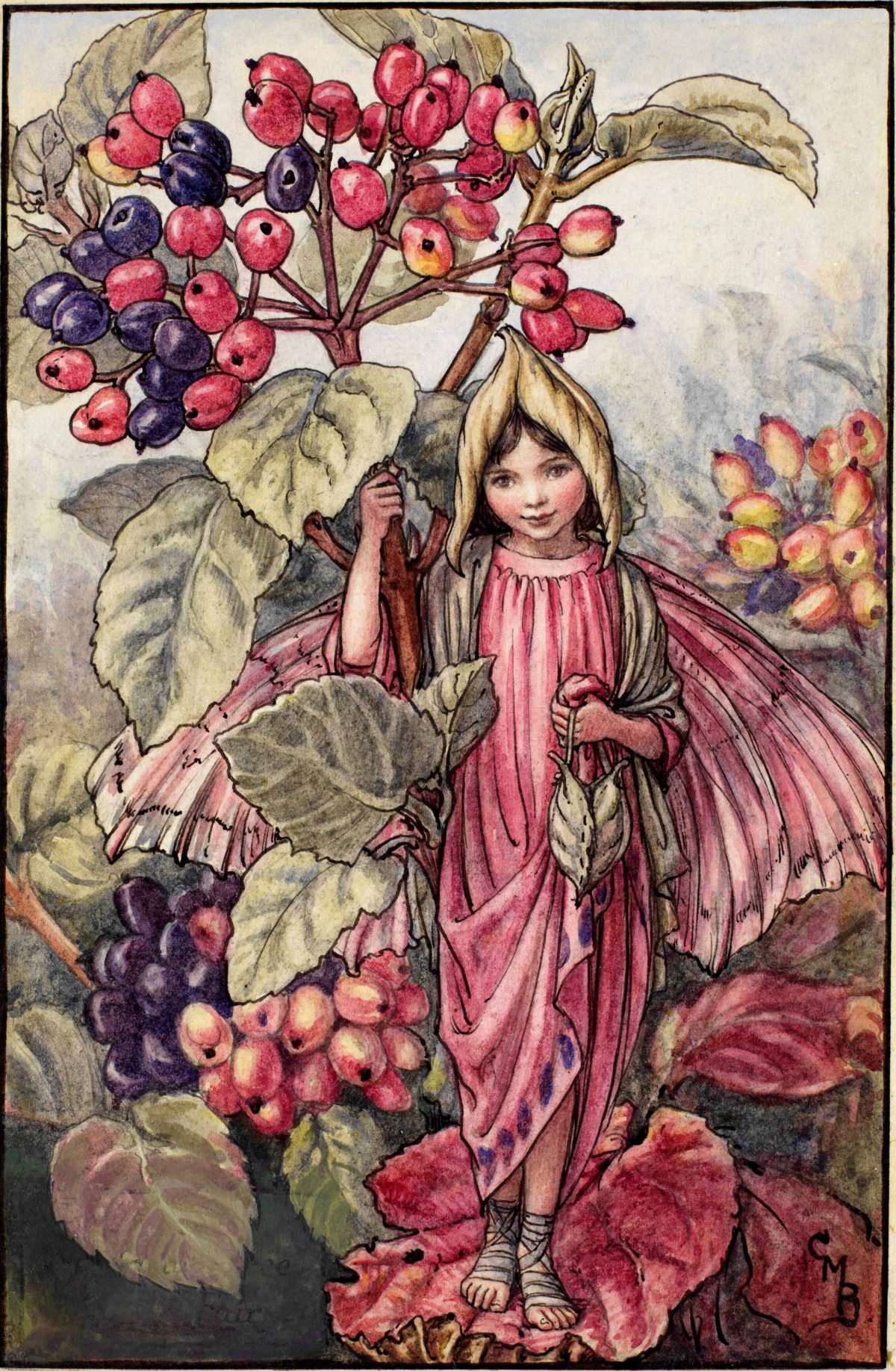 The Wayfaring Tree Fairy - Flower Fairies