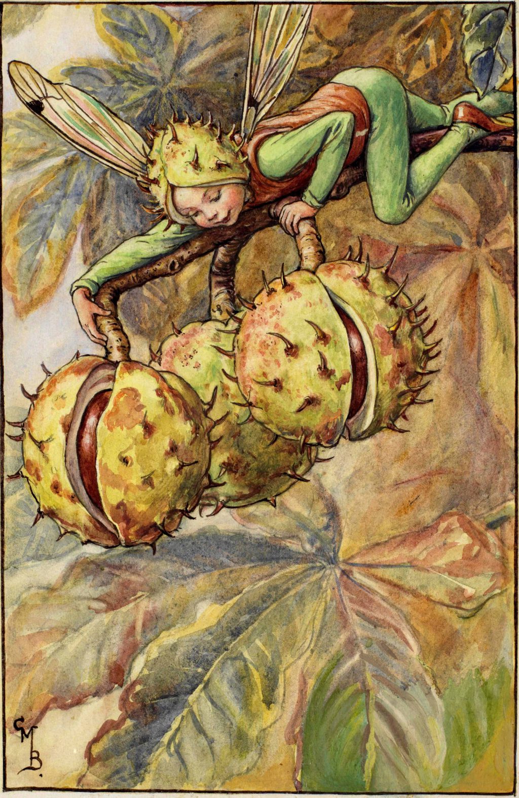 The Fairies of The Autumn Archives - Flower Fairies