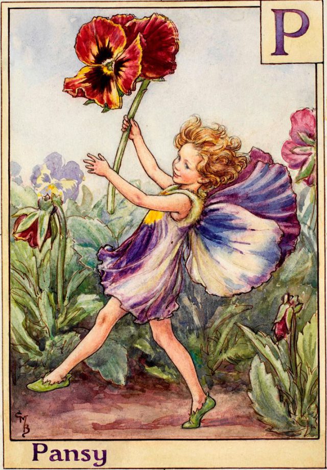 The Pansy Fairy - Flower Fairies