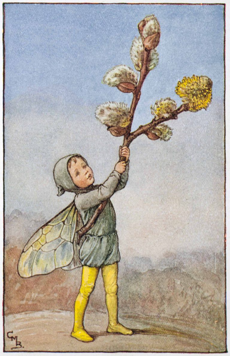 The Fairies of The Spring Archives - Flower Fairies