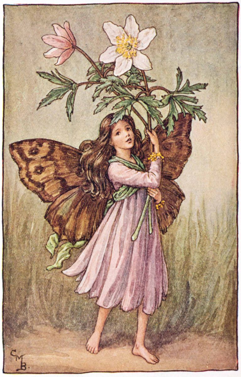 The Fairies of The Spring Archives - Flower Fairies