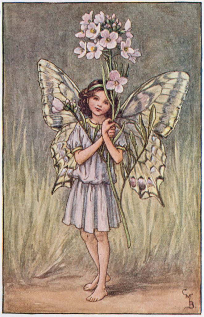 The Fairies Of The Spring Archives Flower Fairies