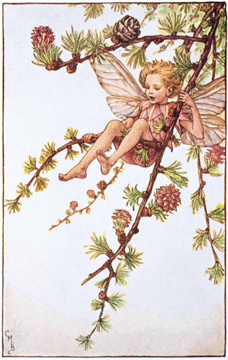 The Fairies of The Spring Archives - Flower Fairies
