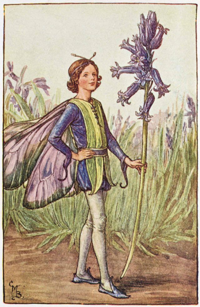 The Fairies of The Spring Archives - Flower Fairies