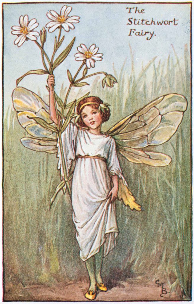 The Fairies of The Spring Archives - Flower Fairies