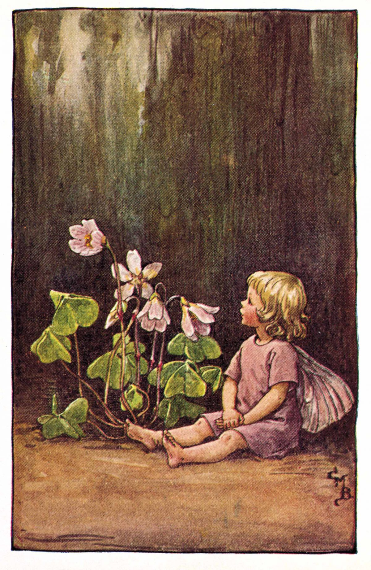 The Fairies of The Spring Archives - Flower Fairies