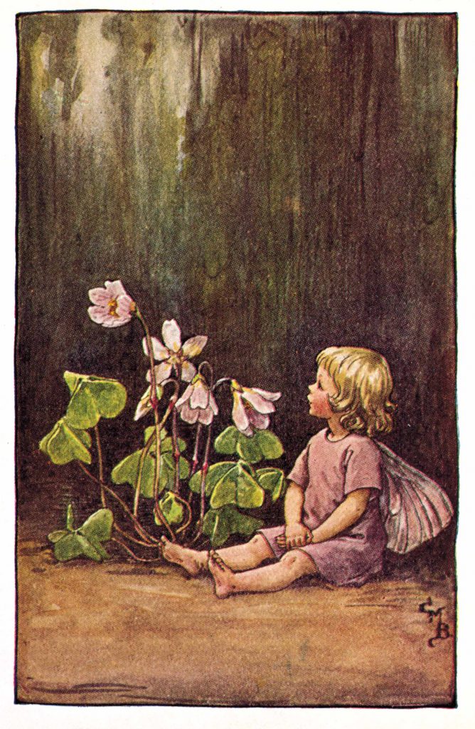 The Fairies of The Spring Archives - Flower Fairies
