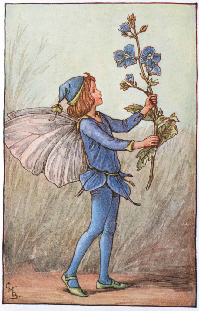 The Fairies of The Spring Archives - Flower Fairies