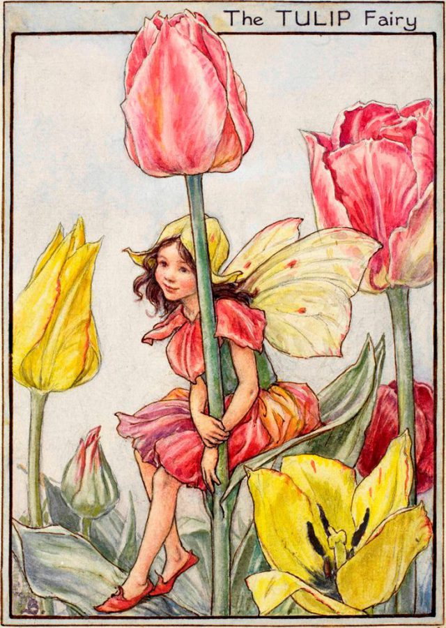 The Fairies of The Garden Archives - Flower Fairies