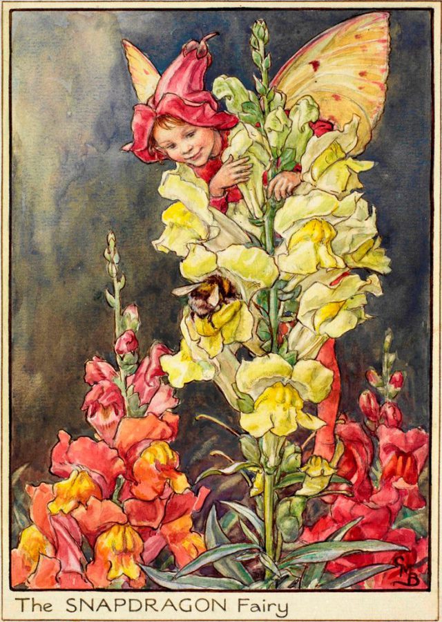 The Fairies of The Garden Archives - Flower Fairies