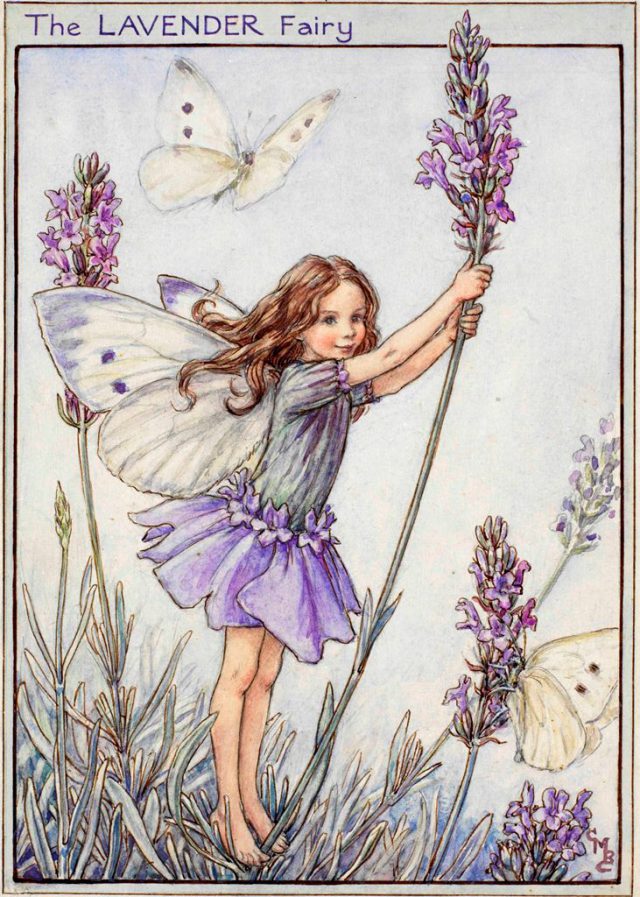 The Lavender Fairy - Flower Fairies