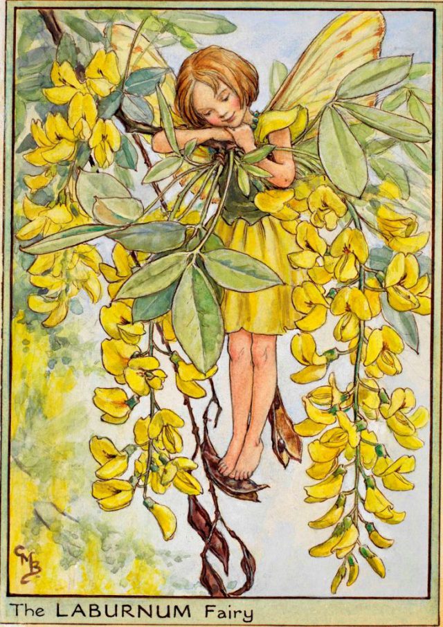 The Fairies of The Trees Archives - Flower Fairies