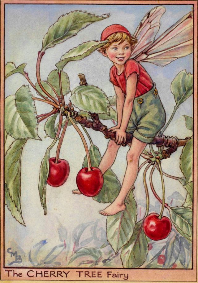The Cherry Tree Fairy - Flower Fairies