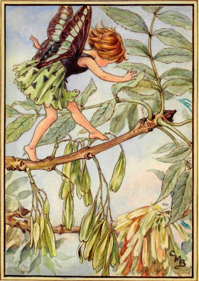 The Fairies of The Trees Archives - Flower Fairies