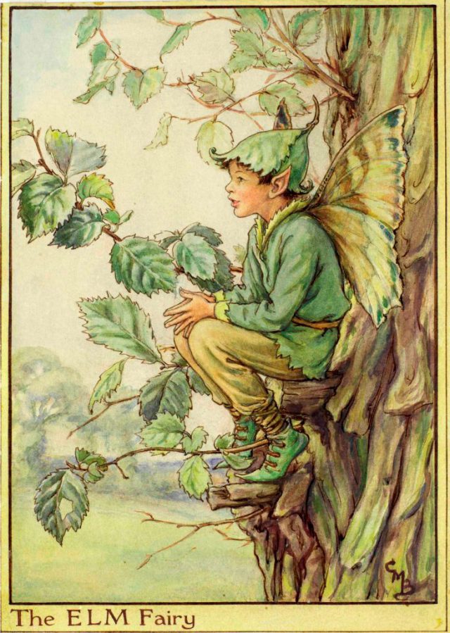 The Fairies of The Trees Archives - Flower Fairies