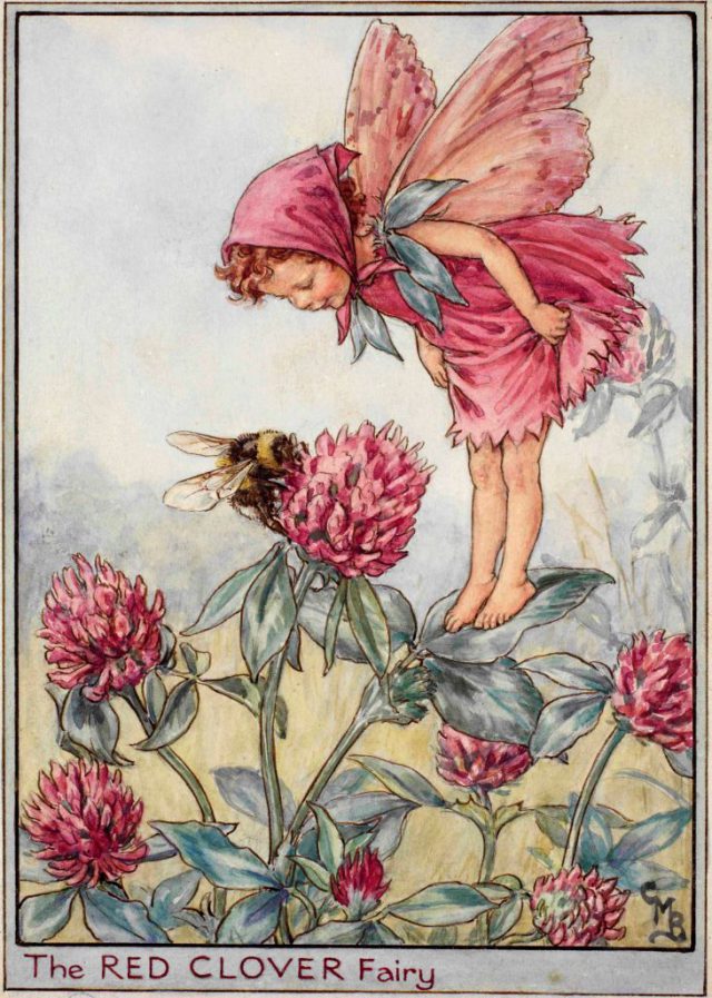 The Red Clover Fairy - Flower Fairies