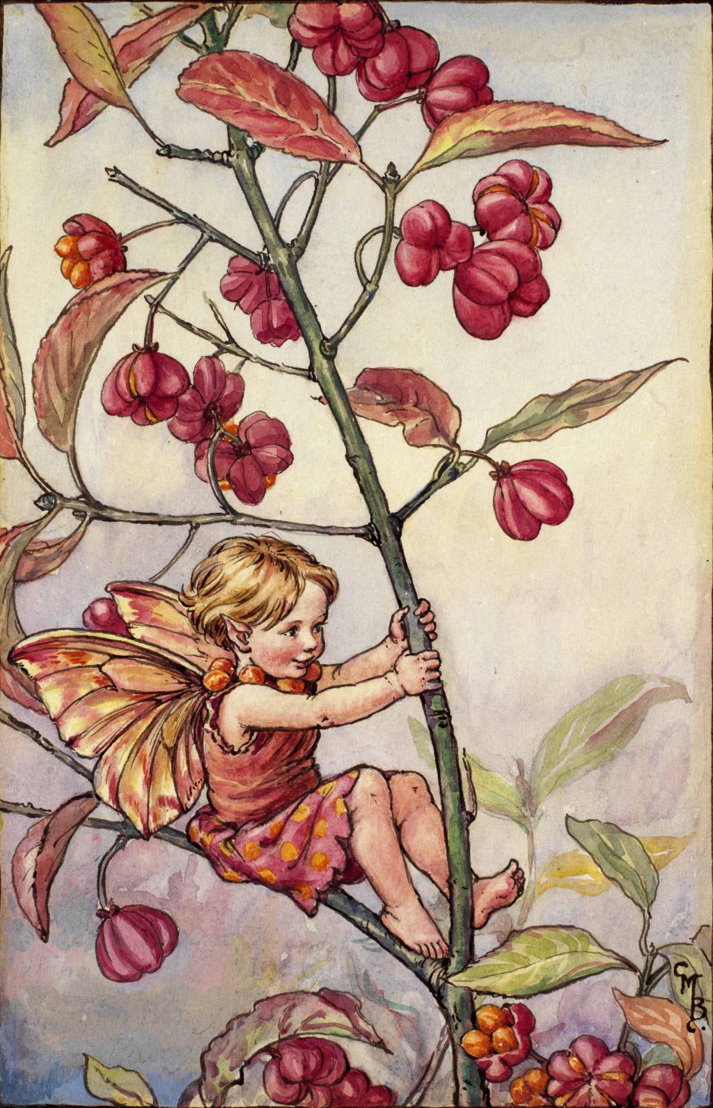 The Fairies of The Winter Archives - Flower Fairies