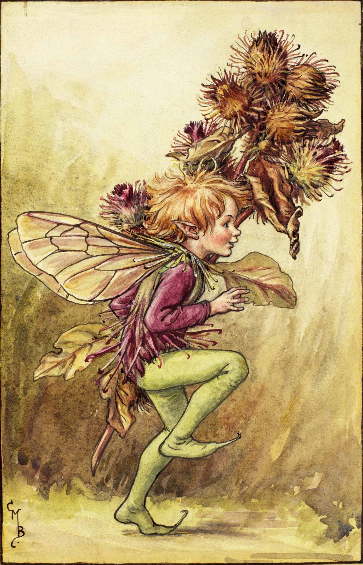 The Fairies of The Winter Archives - Flower Fairies