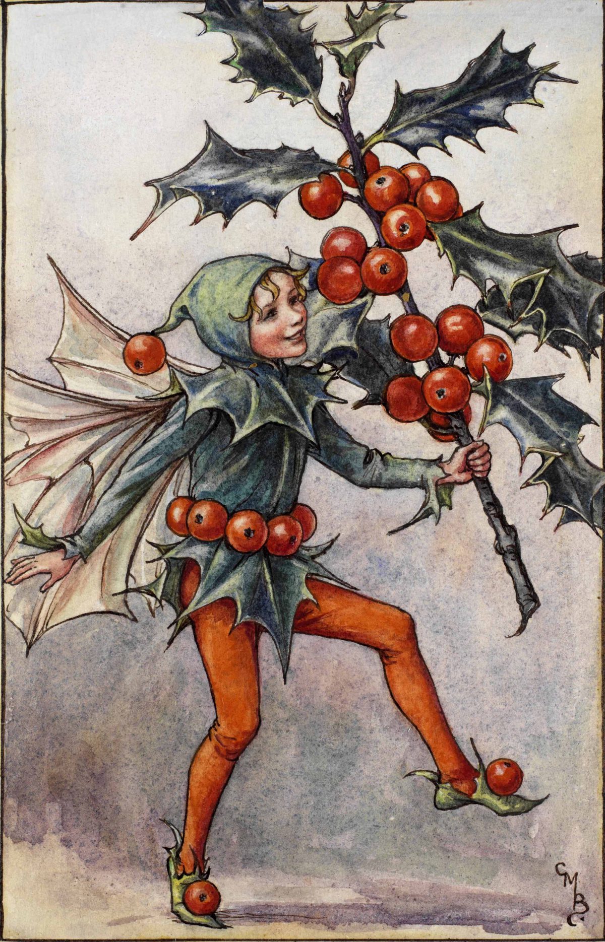 The Fairies of The Winter Archives - Flower Fairies